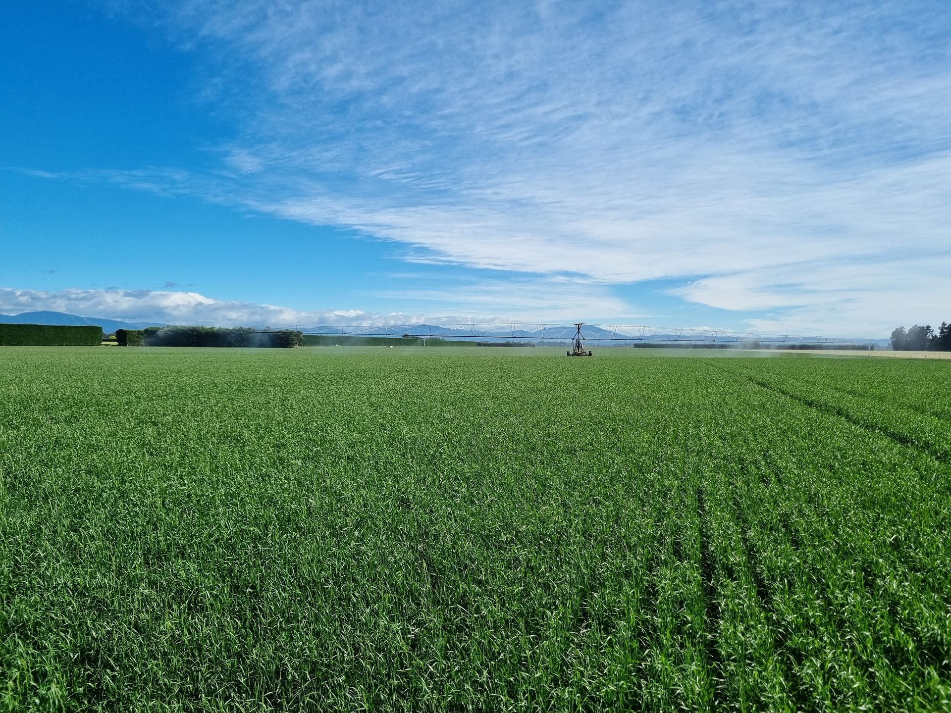 Precision™ UAN | A Smarter Choice Of Nitrogen | Appchem